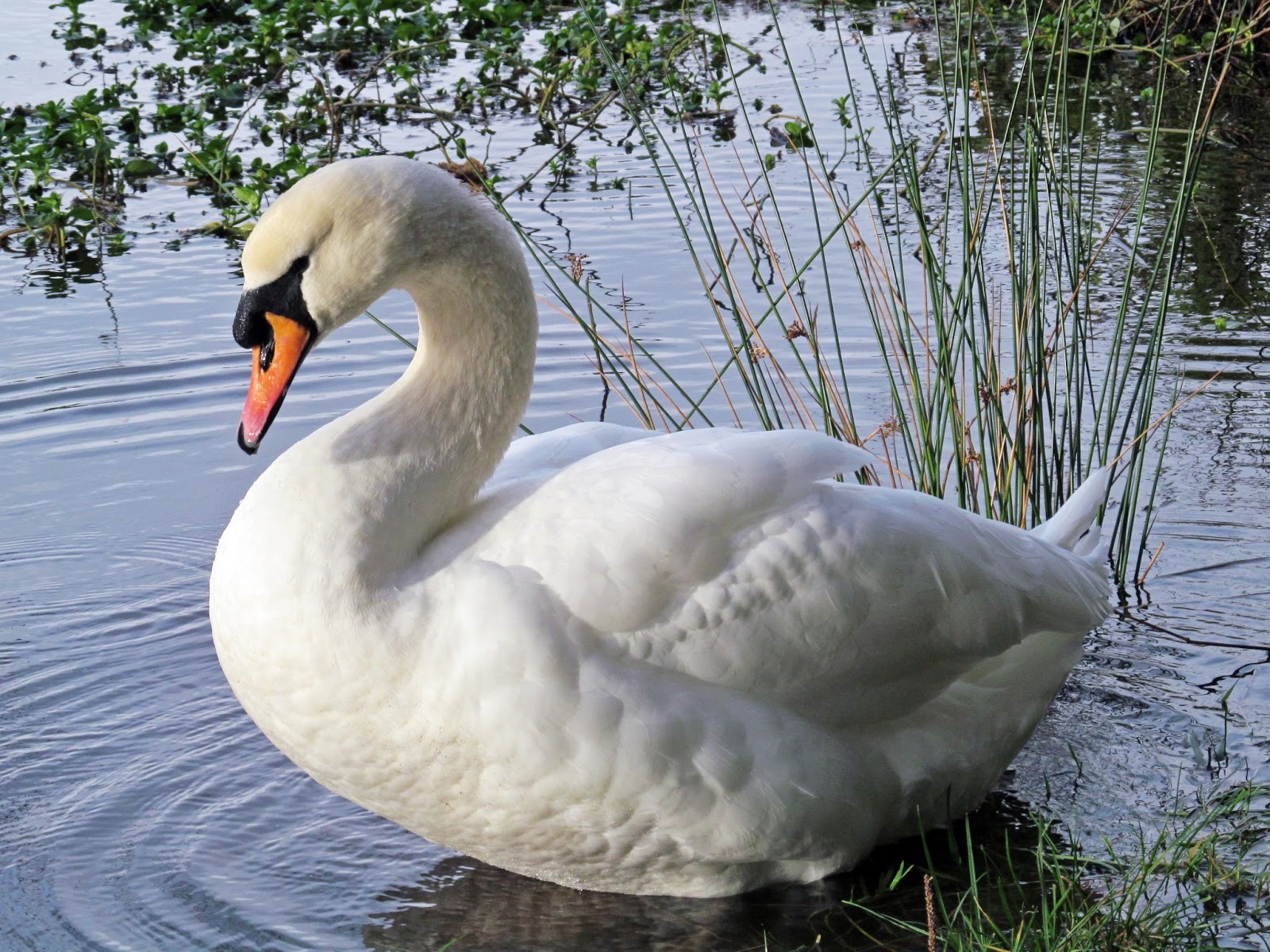 Emerald Honeydew Photography Blog