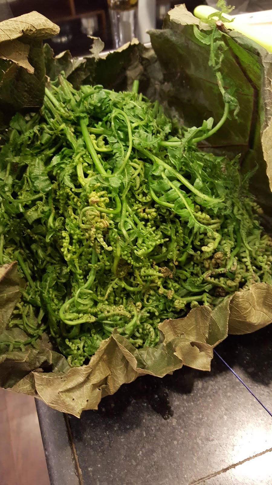 Rushina Munshaw Ghildiyal: Seasonal Eating – Monsoon’s foraged ...