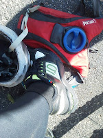 The World Inside My Head: Mountain Biking Review: Ocala's Santos and Vortex