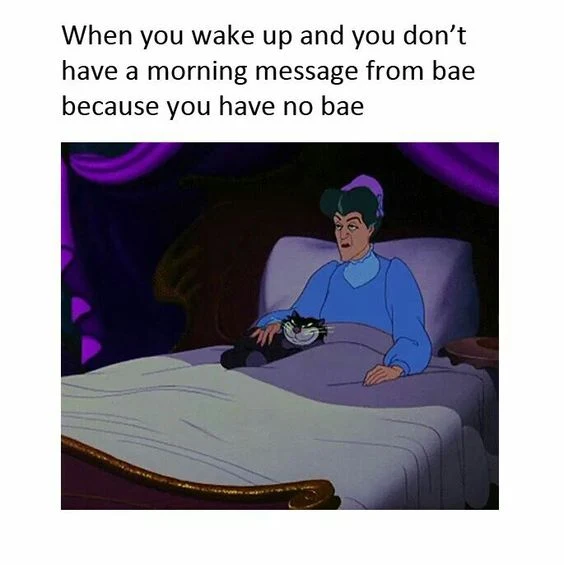 40+ Most Hilarious and Funny Good Morning Memes