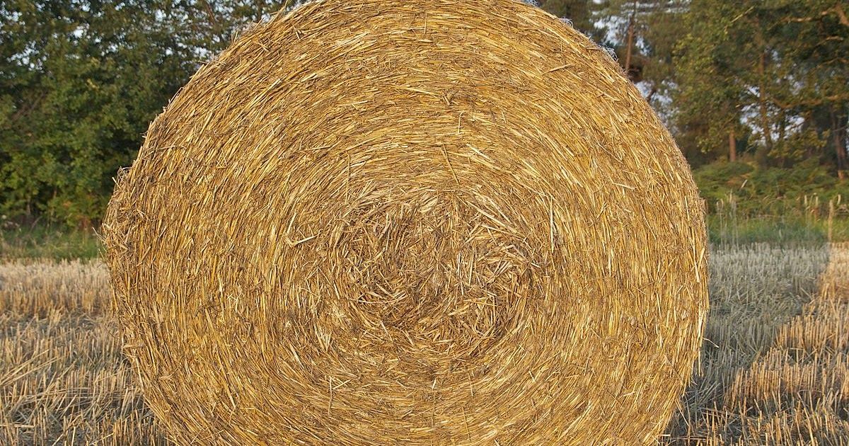 Doc' Chiffres & Mots: Sur la paille