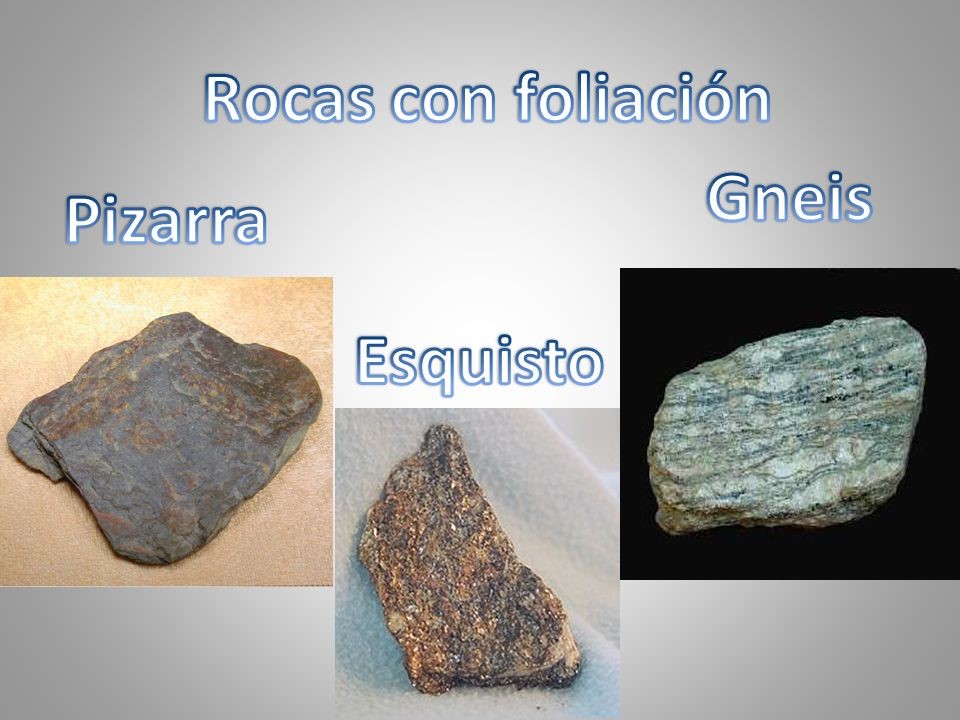 GC8E46E Pazo de Lourizán - ¿Gneis o Esquisto? (Earthcache) in Galicia ...