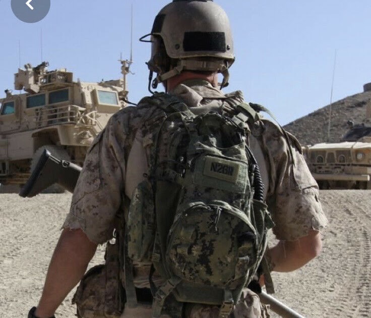 Webbingbabel: Eagle industries DLCS Basic Support Kit AOR2