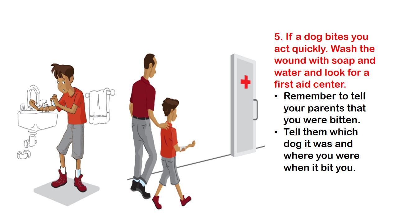 The Family physician : How to prevent dog bites?