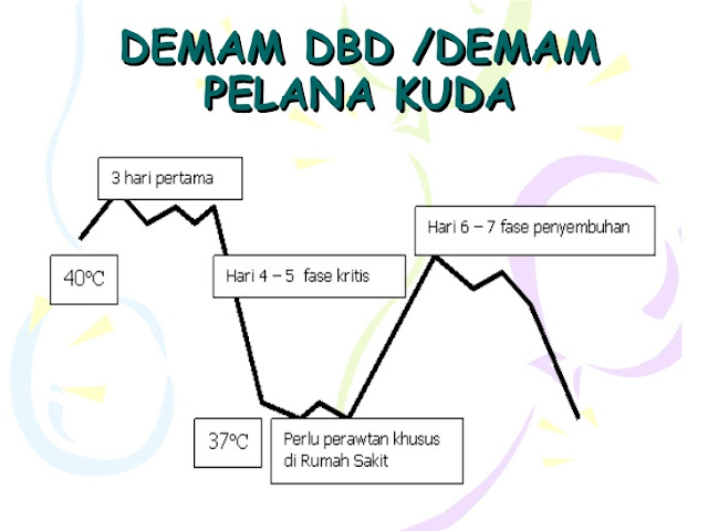 SAYANGI JANTUNG KITA: WASPADA DEMAM BERDARAH (DBD , DSS)