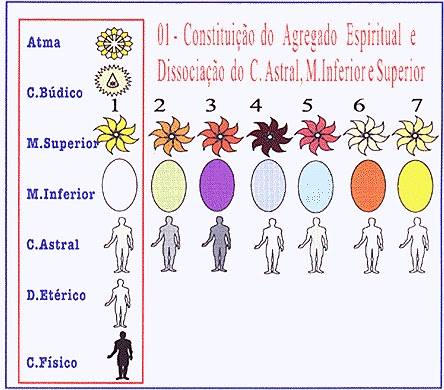 Vocês Merecem Mais...: OS SETE CORPOS