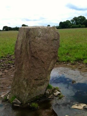 Old European culture: Bull of Crom Dubh