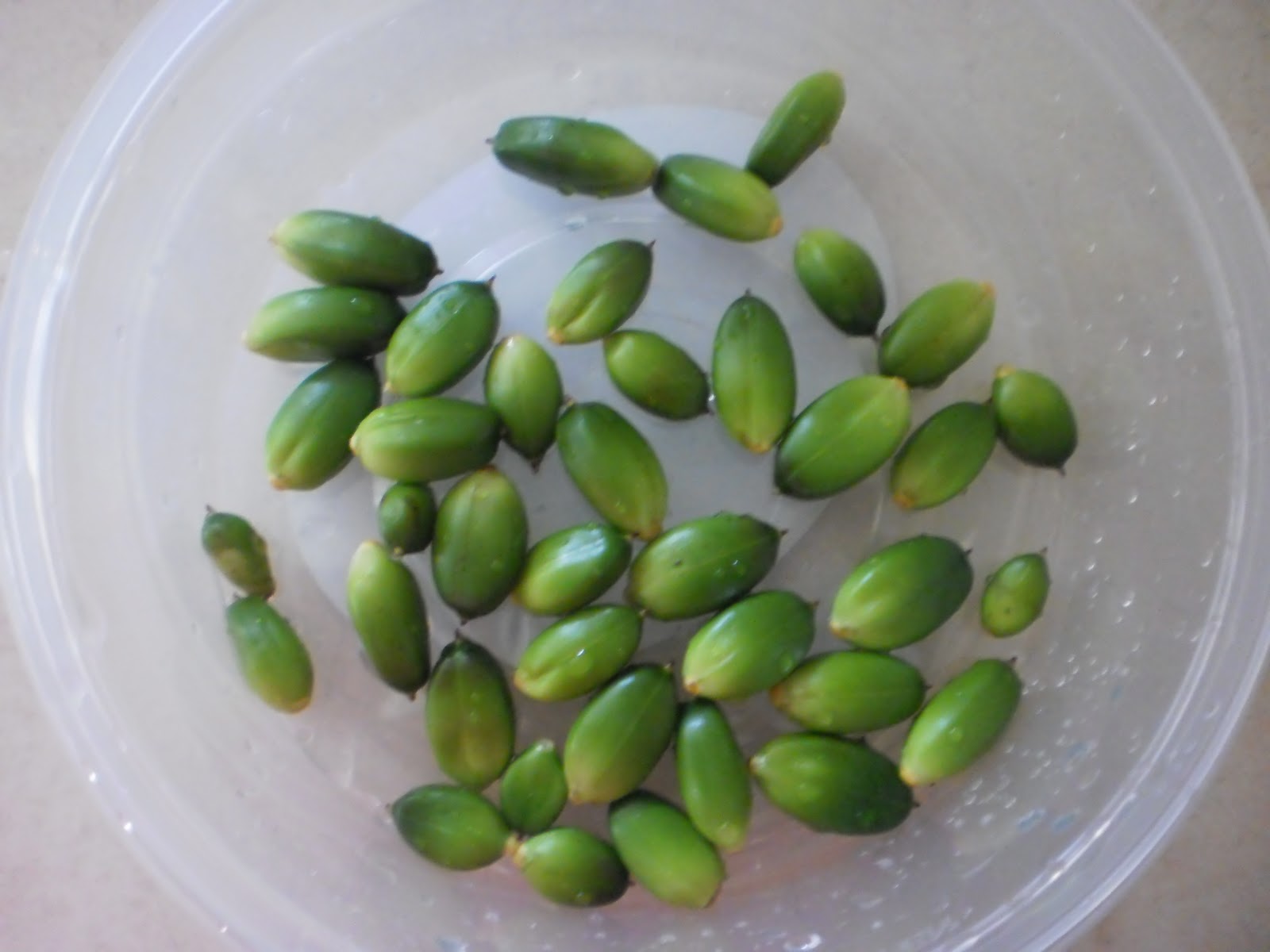 Limpahan Kasih Mu: Jeruju