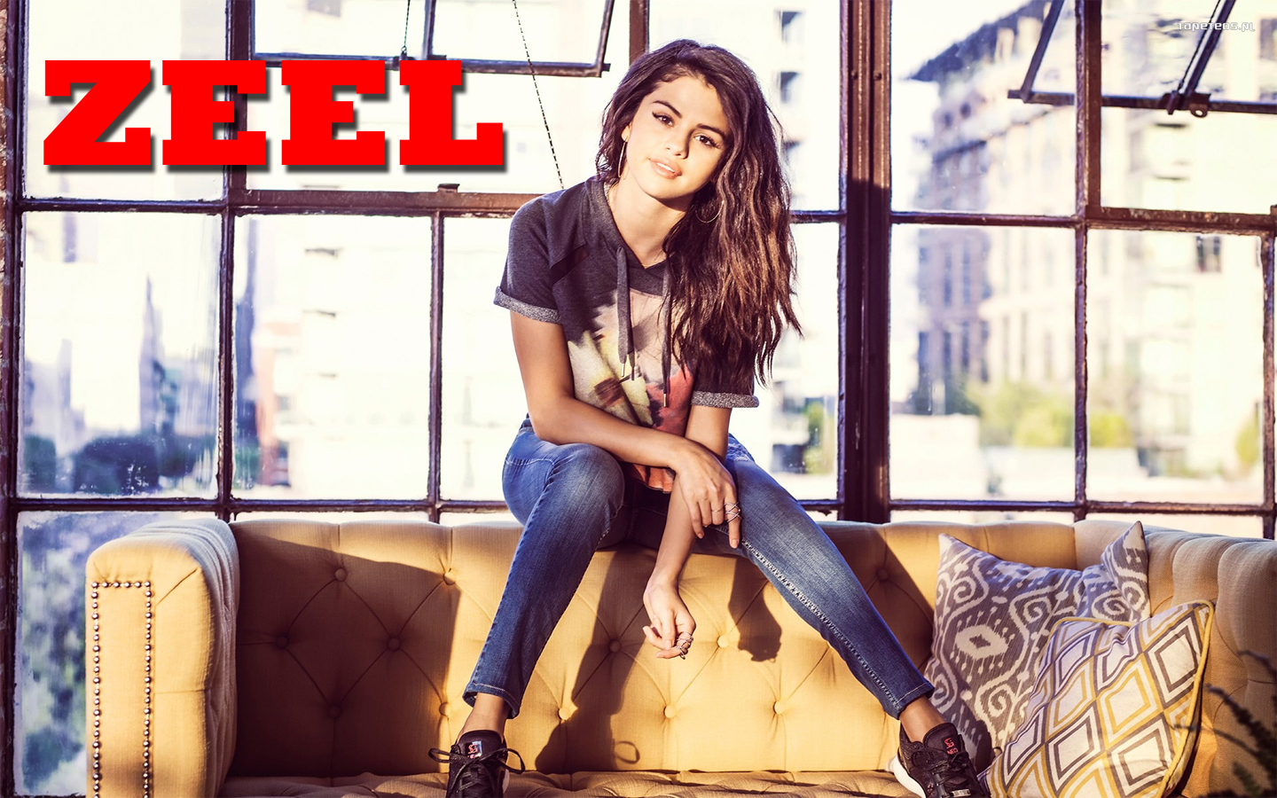 Zeel Pakistan: Zeel Pakistan