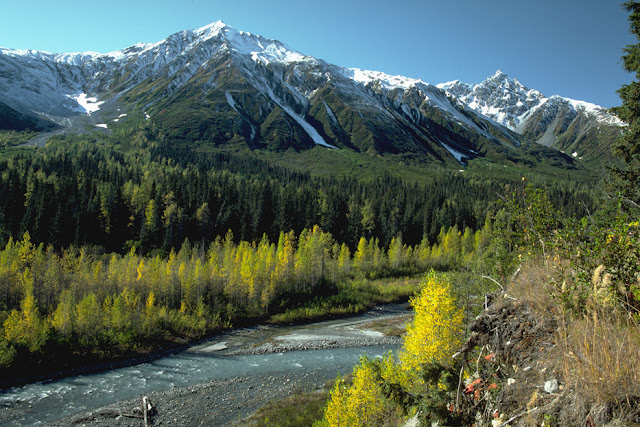 Ecosistemas y su estructura: Taiga