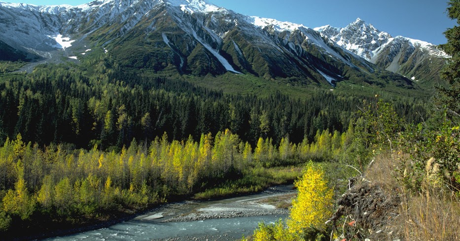 Ecosistemas y su estructura: Taiga