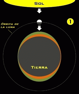 Enroque de ciencia: Mareas. Saber académico: Terminología (3)