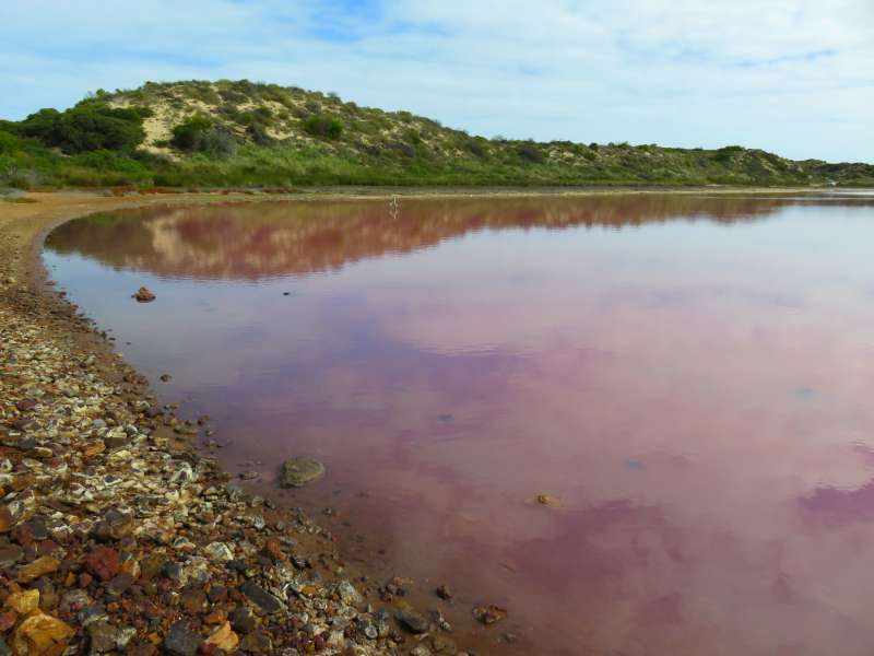 The Travelling Lindfields: Hutt Lagoon, Western Australia: A pink lake ...