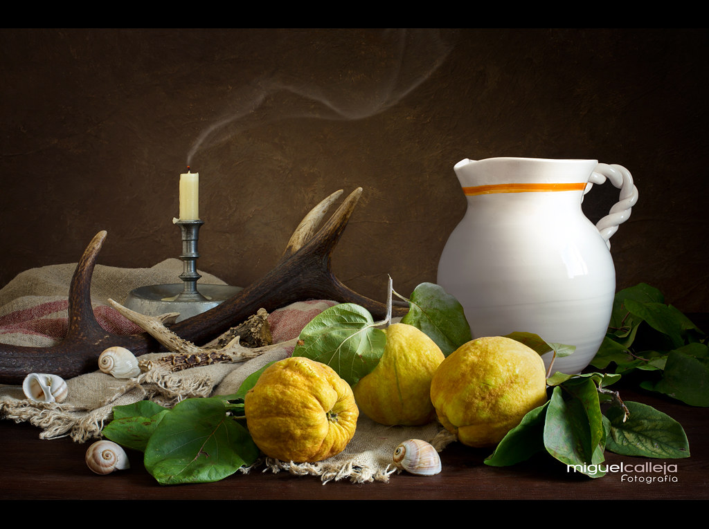 Historia y evolución de la pintura artística : Fantásticas imagenes de ...