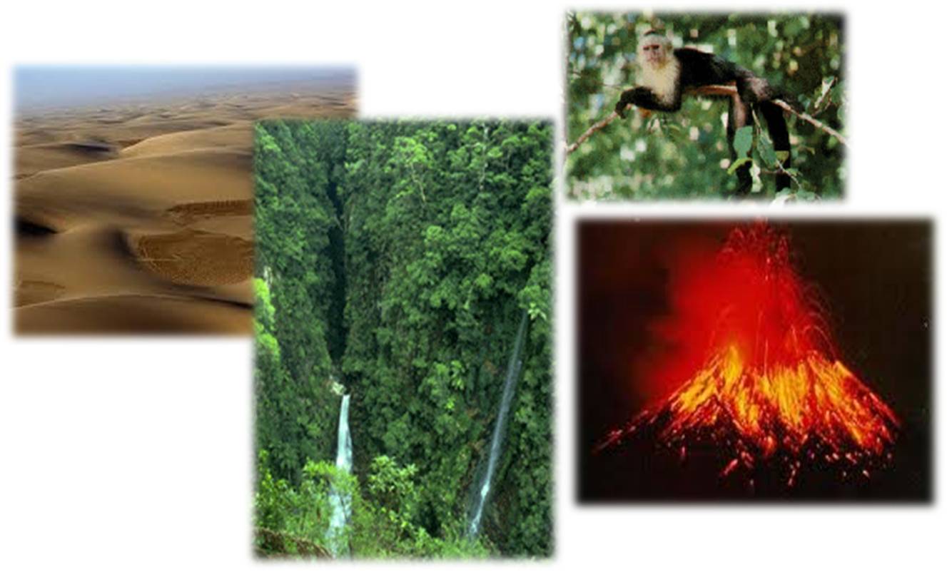 Geography Class 1st Grade: 2015