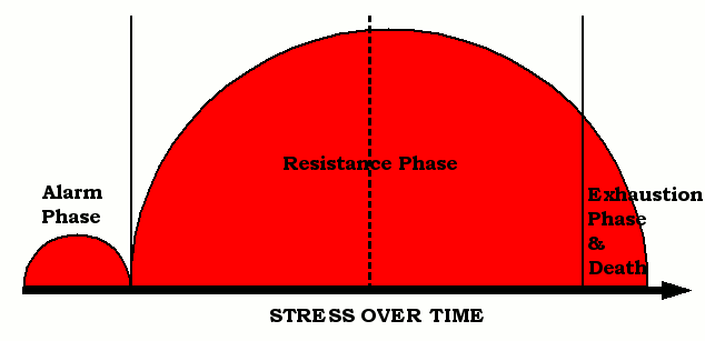 Managing Your Stress