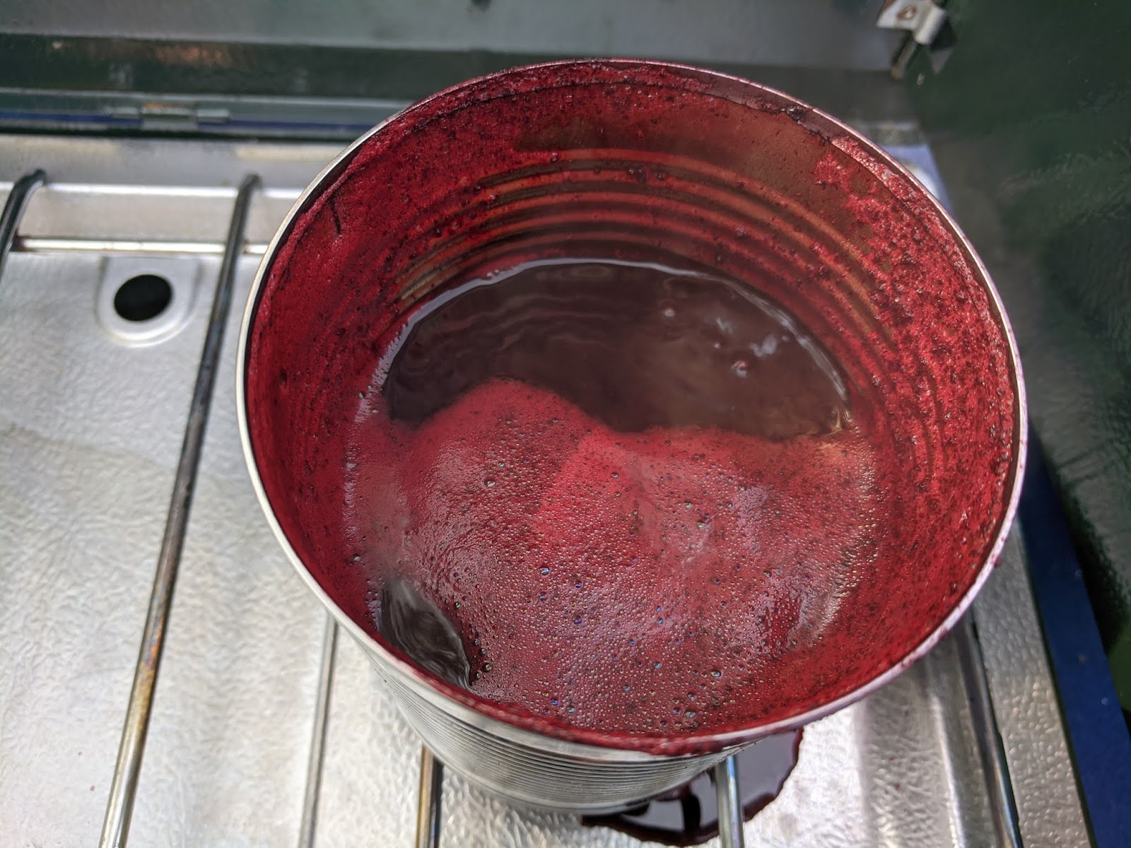 Eden By The Bay: Dye Project: Cochineal (Bugs!)