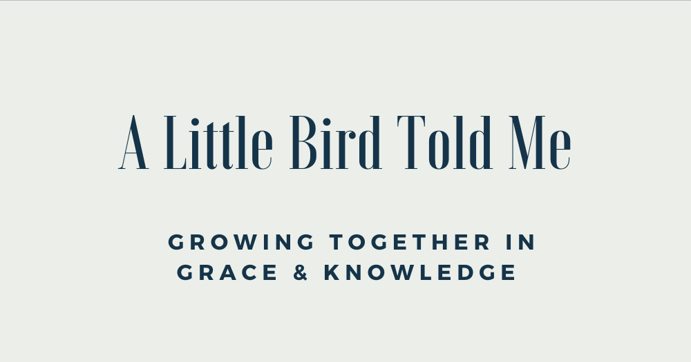 A Little Bird Told Me