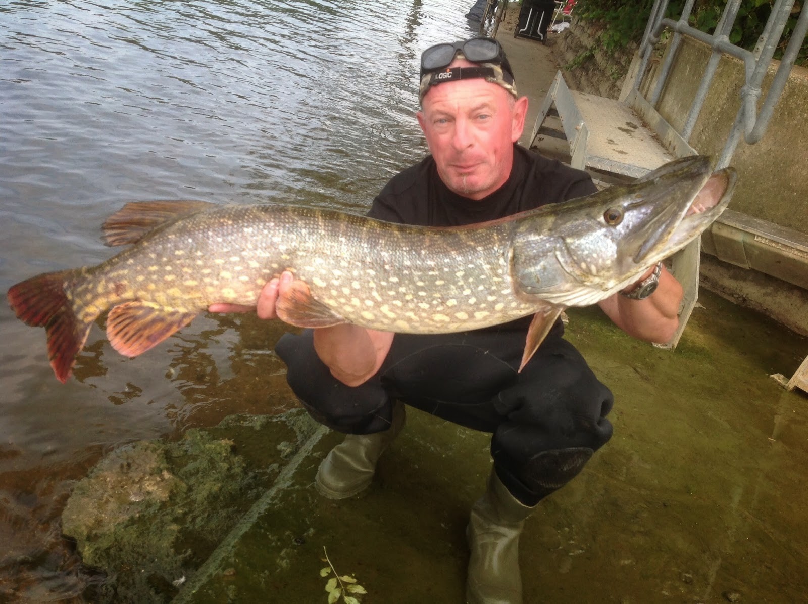 August 2014 Fish of the Month Entry - Thames Pike!