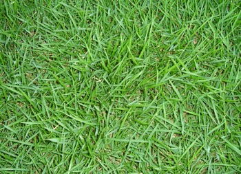 PEMBEKAL RUMPUT MALAYSIA: May 2014