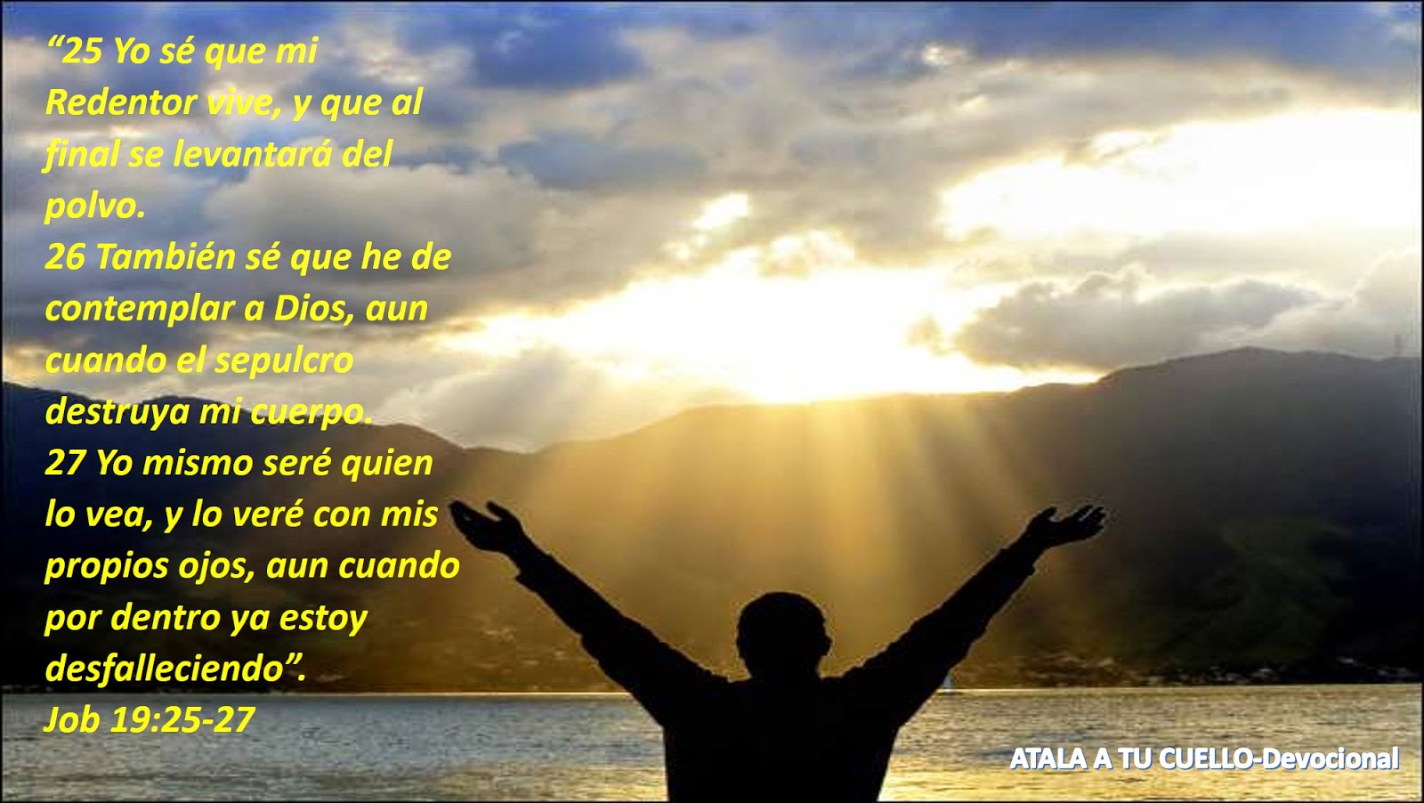 ATALA A TU CUELLO Devocional: Job 19