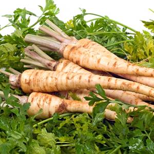 Fehér répa - Mindennapi egészségünk