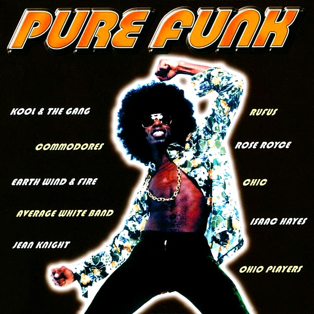 ENTRE MUSICA: PURE FUNK - Varios Artistas