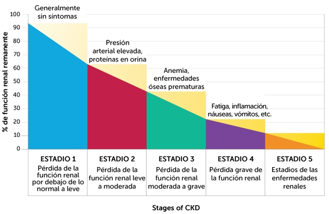 Enfermeras posturno: Enfermedad renal crónica
