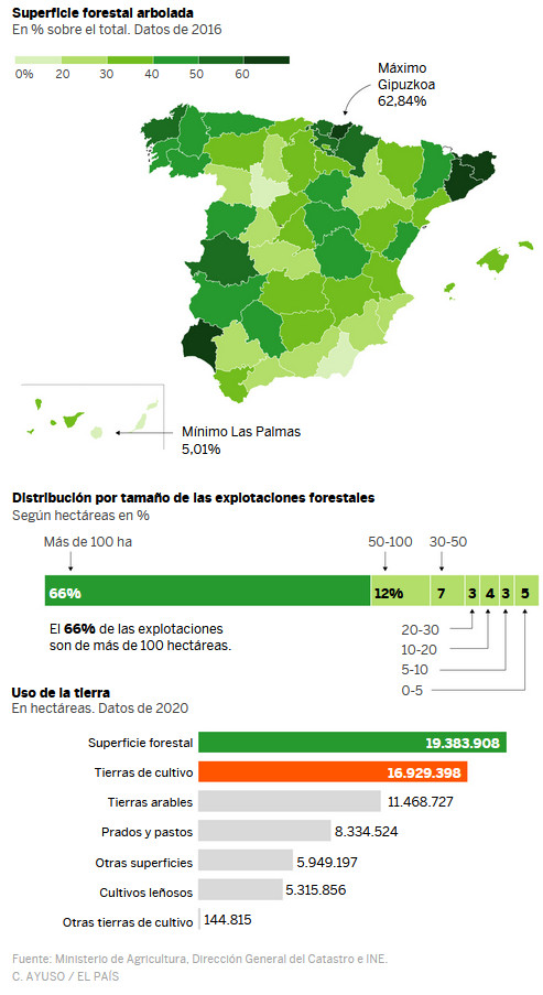Torrejoncillo del Rey: Los nuevos terratenientes de España
