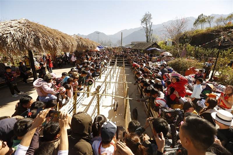 Attractive beauty of Sapa in the season of blooming peach