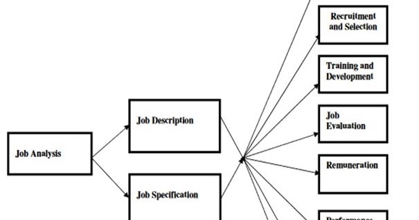 Recruitment And Selection In Contemporary Organization Elements And recruitment-and-selection-in-contemporary-organization-elements-and