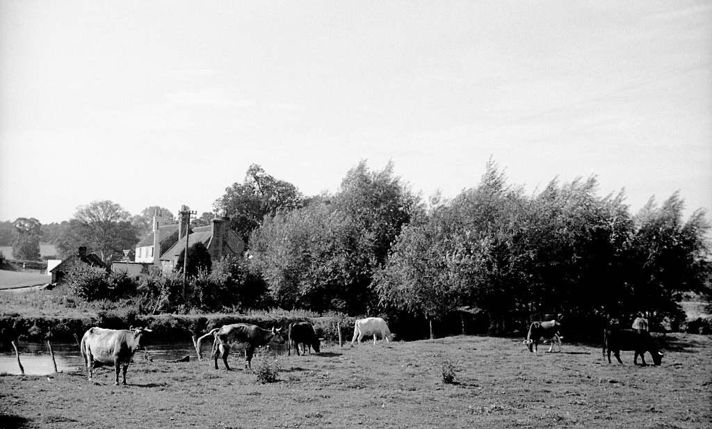 Amazing Photos Document Everyday Life of England in the Late 1930s ...