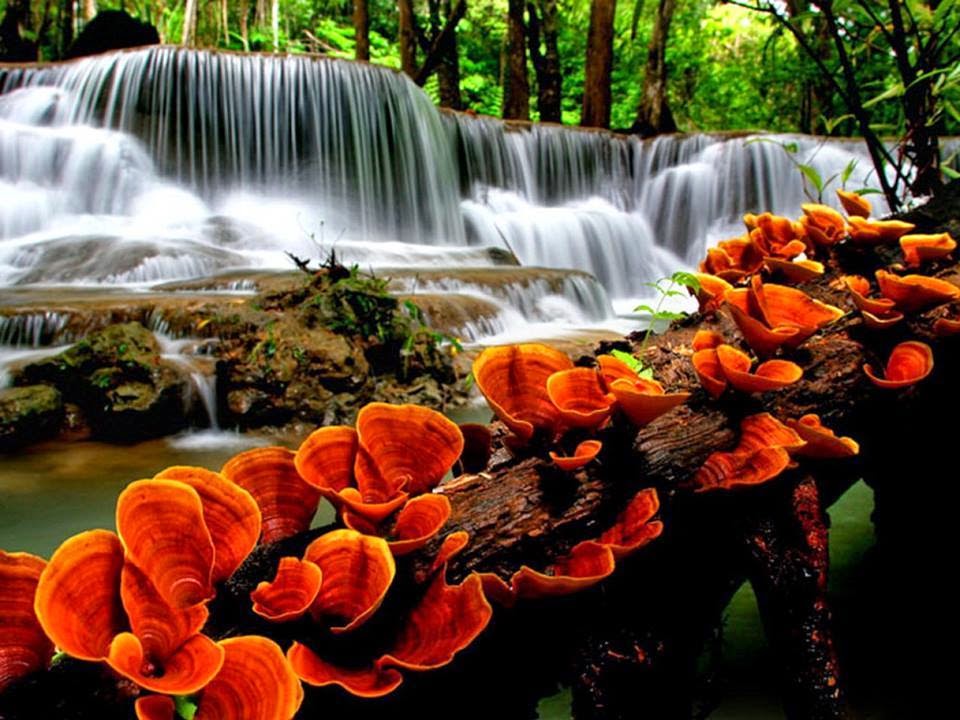 AS MAIS BELA PAISAGENS DO PLANETA