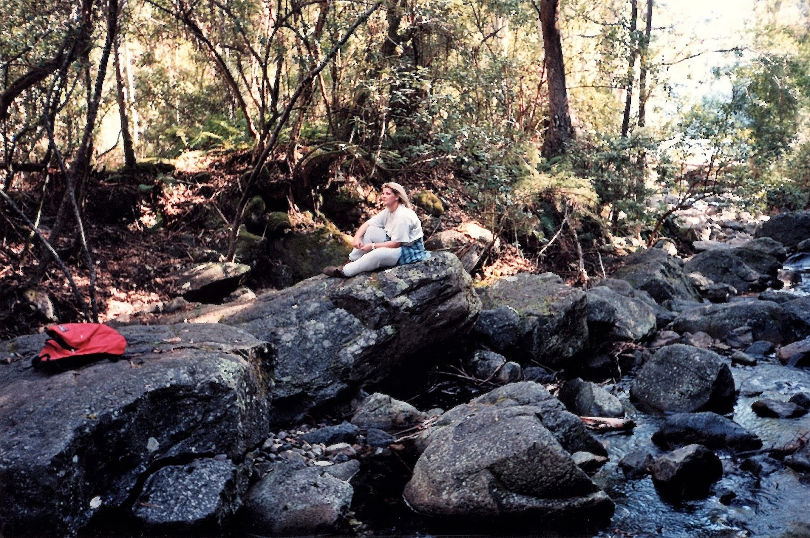Goin' Feral One Day At A Time: Lake Tali Karng, Alpine National Park ...