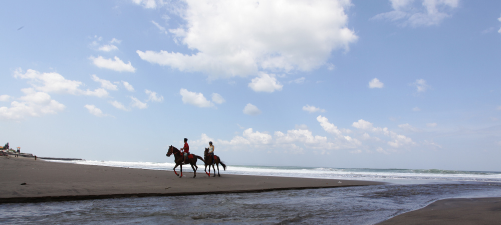 THINGS TO DO IN BALI GUIDE: KUDA P STABLES @ Pererenan