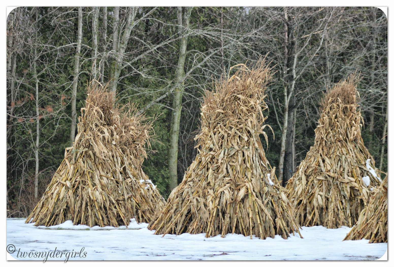 Our Retirement Days: Corn Stalks Baled and Stooked