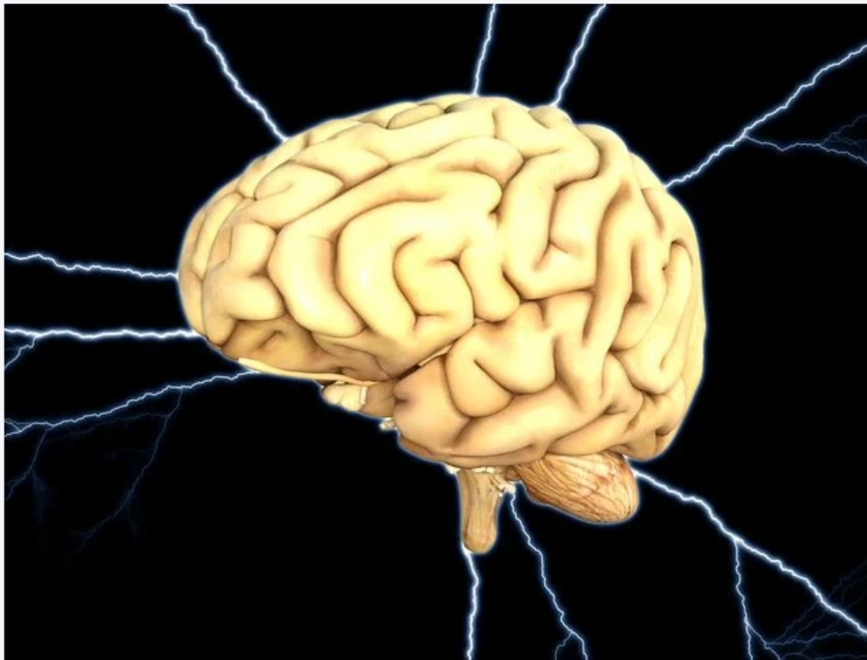 How To Improve Memory Power In Hindi how-to-improve-memory-power-in-hindi