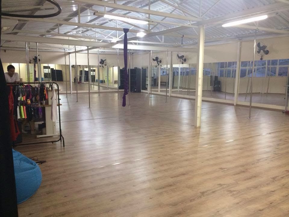 Vertical Fit - Referência em Pole Dance!: Fevereiro 2014