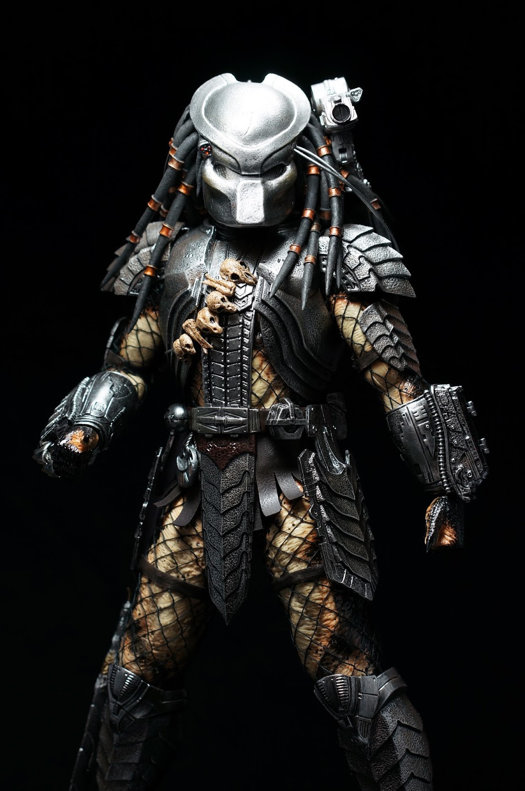 Gary Charm 魔術師的玩具 Blog : Scar Predator @ Hottoys
