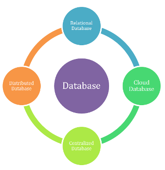 Class 10 IT | Chapter- Database Management System | Topic- What is ...