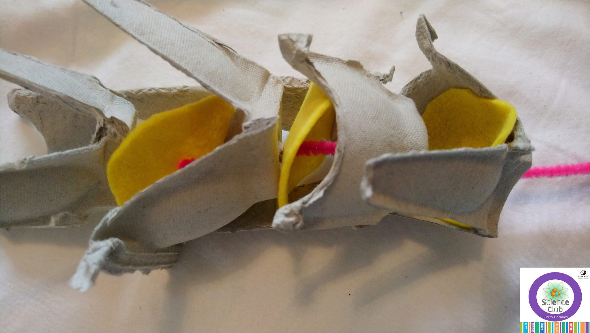 Surrey Library Lab: Make a Model Spine