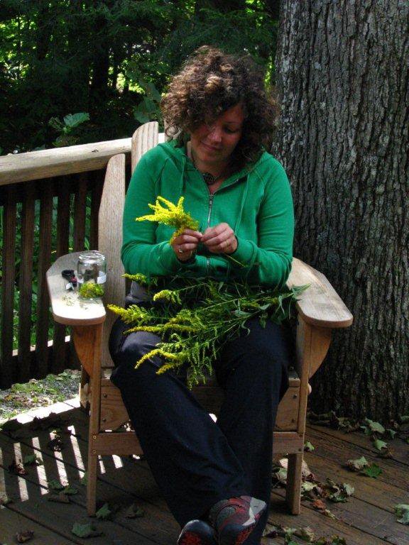 Sensual Shaman Goldenrod Summer s Last Sun sensual-shaman-goldenrod-summer-s-last-sun