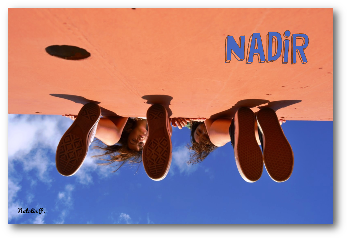 Zarampagalegando: Dicionario visual. Nadir