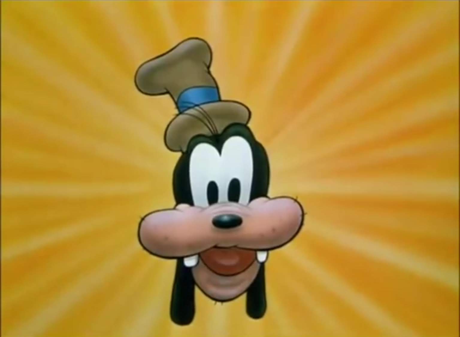 The "How to..." Goofy Cartoons