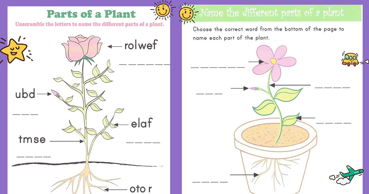 Science Worksheets (PARTS OF A PLANT) - Guro Tayo
