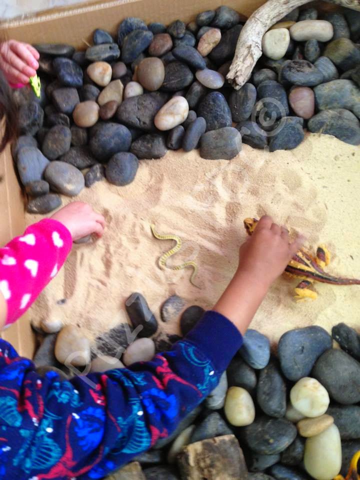 Learning and Exploring Through Play: Lizard Small World Play