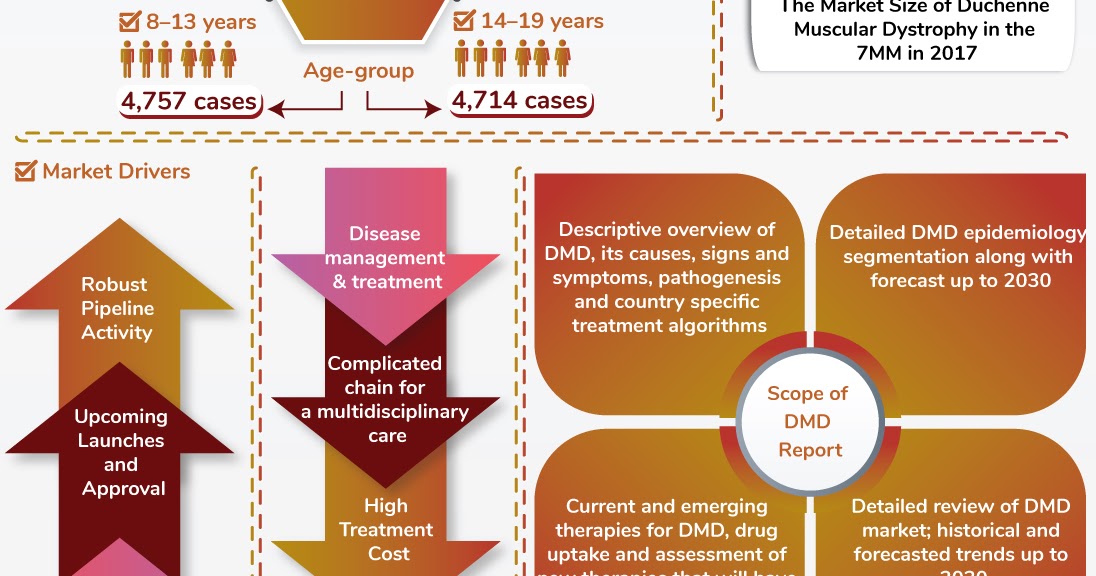 Duchenne Muscular Dystrophy (DMD) Market Analysis, Market Size ...