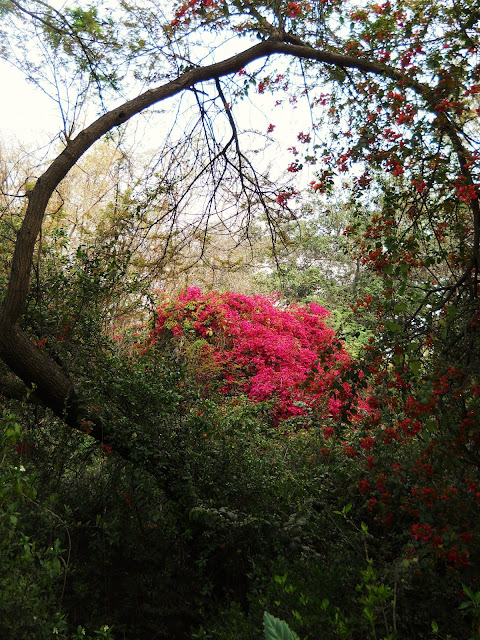 evenfewergoats: The Northern Ridge