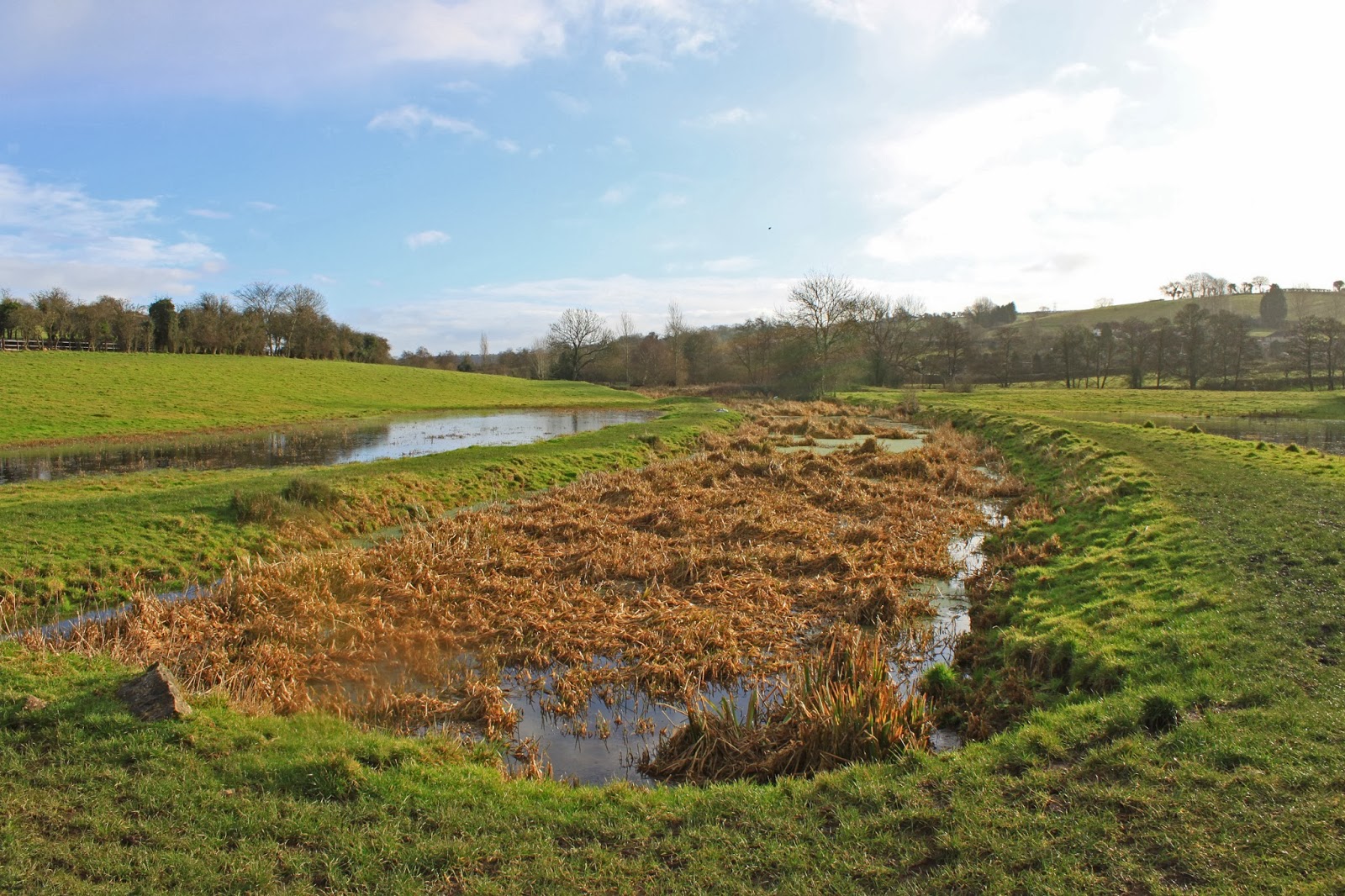 Captain Ahab's Watery Tales: Paulton and Timsbury Basins - Somerset ...