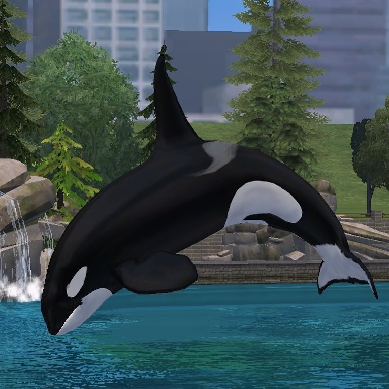 Orca Learning: 2019